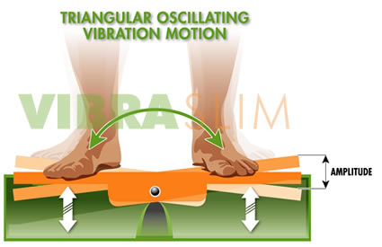 Shake, Rattle, and Roll: Uncovering the Top 10 Vibration Plates ...