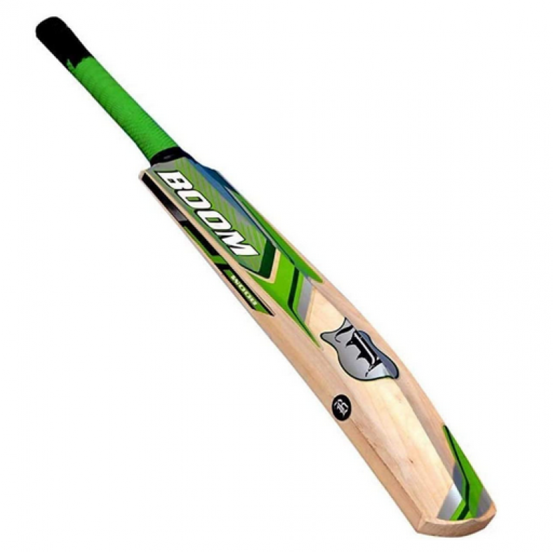 Top 10 Best Cricket Bats in 2023 - Reviews, Comparisons & Buyers Guide