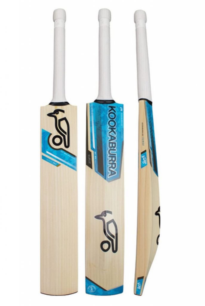 Top 10 Best Cricket Bats in 2023 - Reviews, Comparisons & Buyers Guide